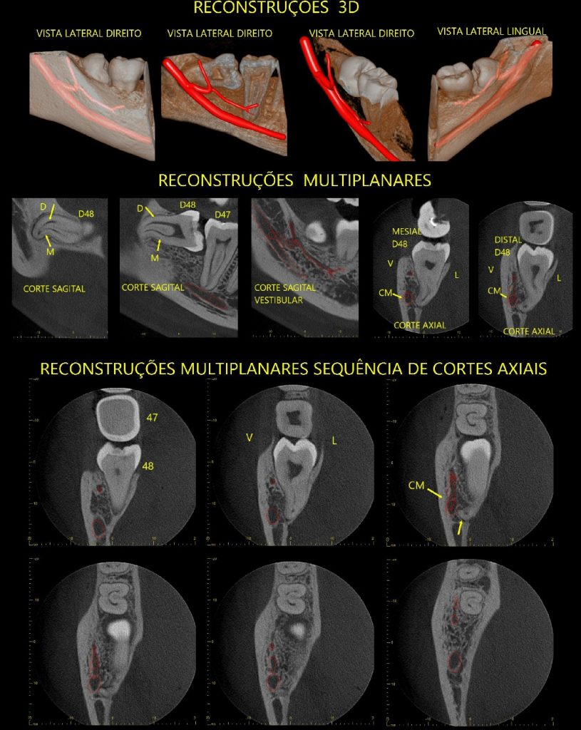 Serviços – RD Digital Diagnósticos