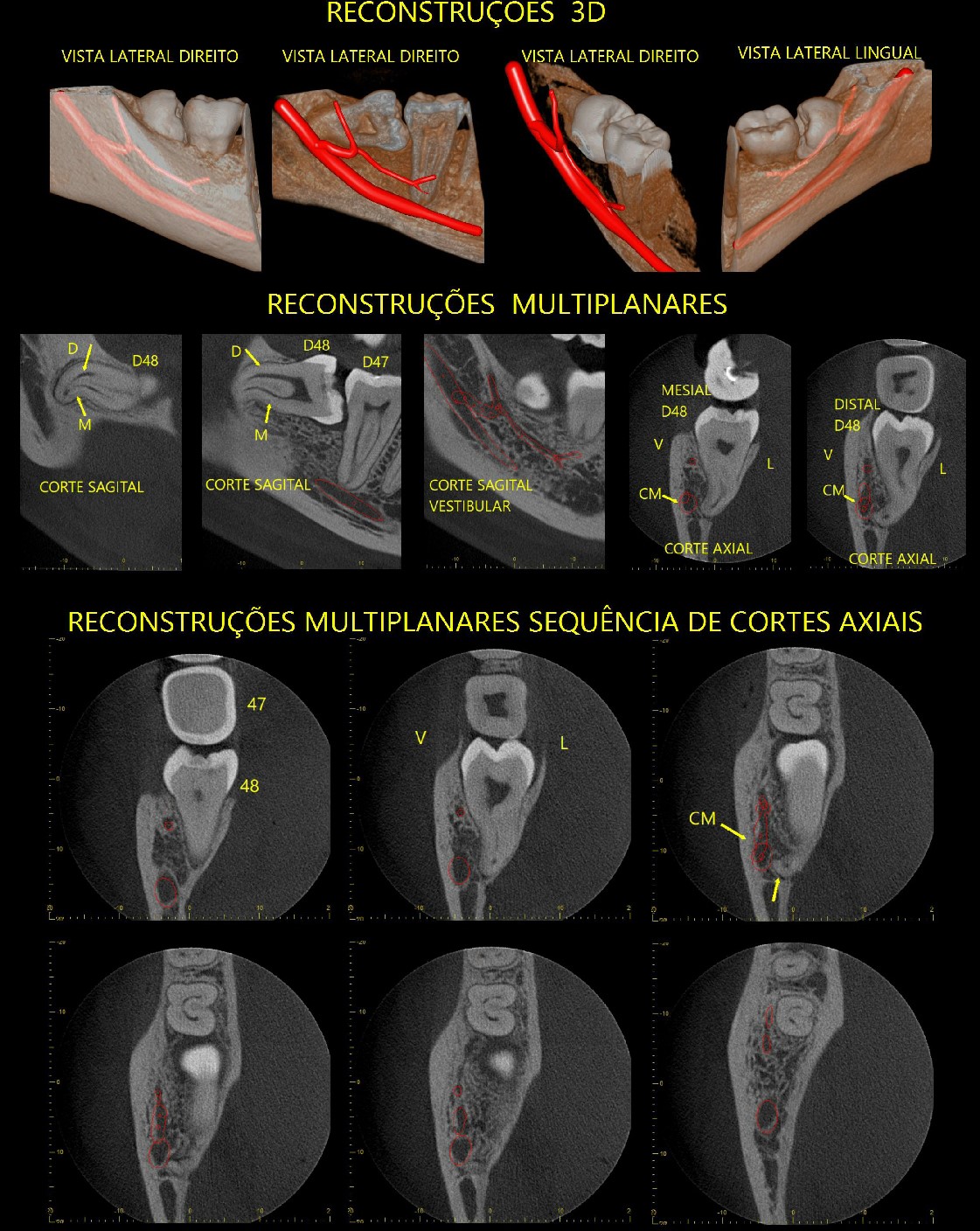 Serviços – RD Digital Diagnósticos