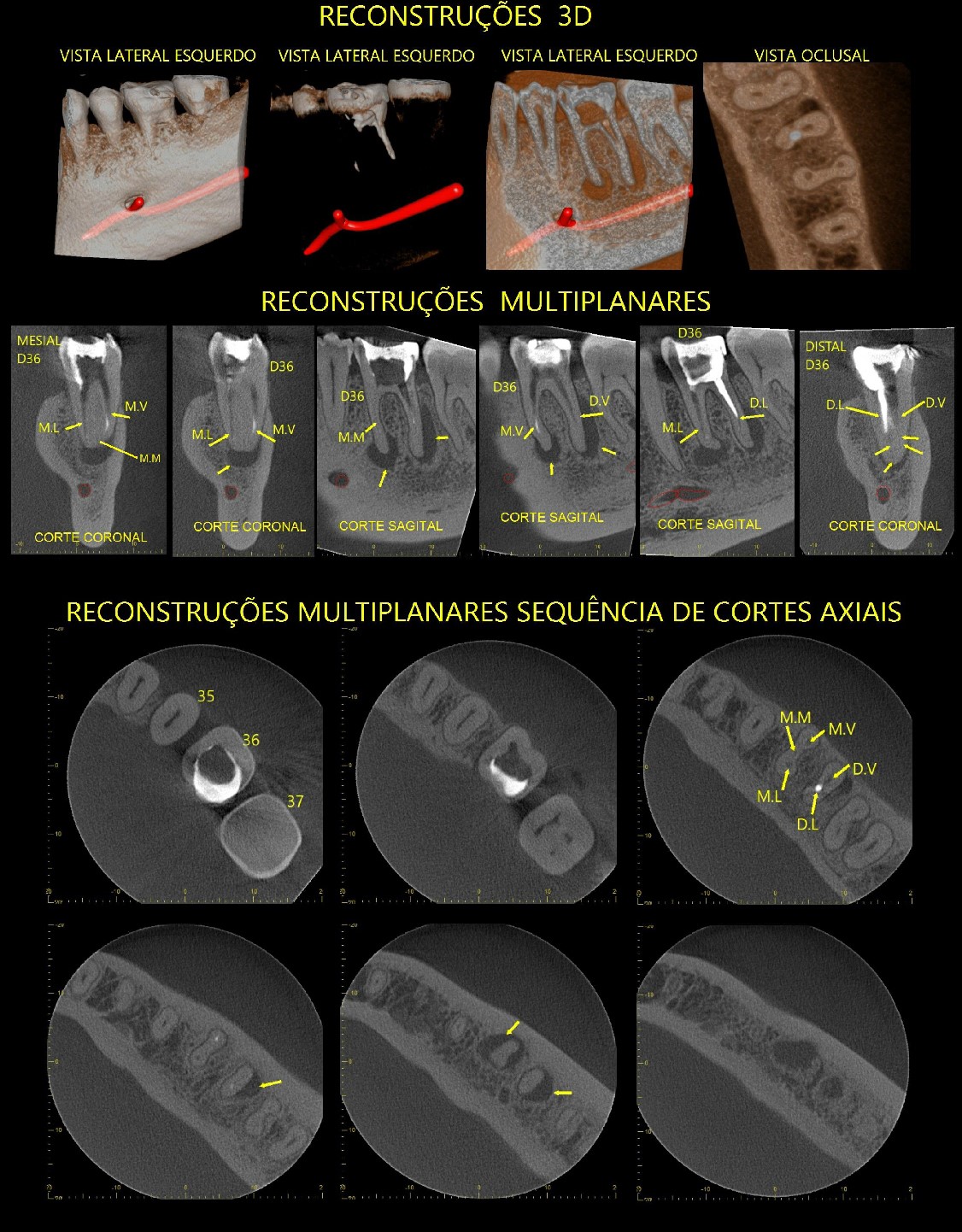 Serviços – RD Digital Diagnósticos